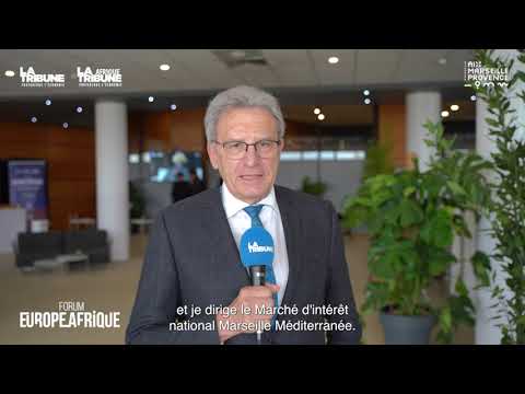 #ForumEuropeAfrique – Marc DUFOUR, Directeur général du Marché d ...